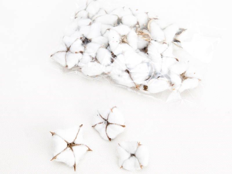 8345 Flori bumbac artificial pentru aranjamente florale set 25