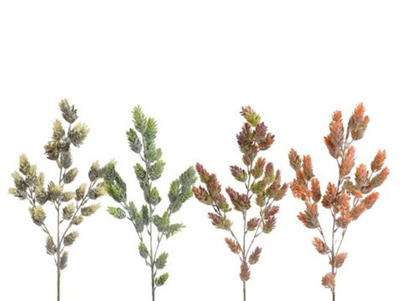 Hamei 3725 | Celoplast