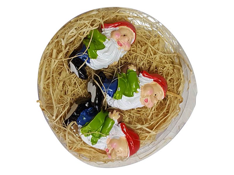 Pitici color pentru aranjamente florale set 3 buc 466826 | Celoplast